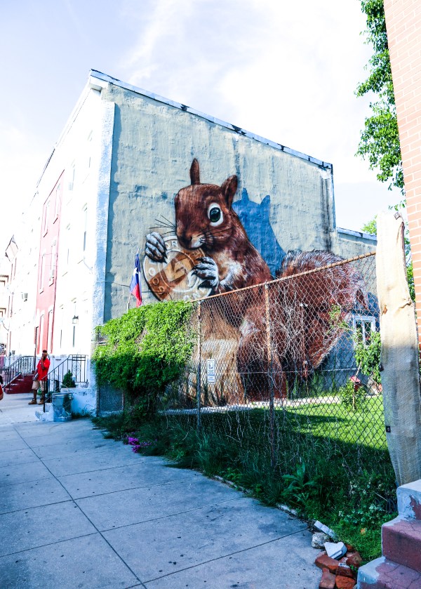 New Mural of A Squirrel Eating a SEPTA Token is Literally the Best ...
