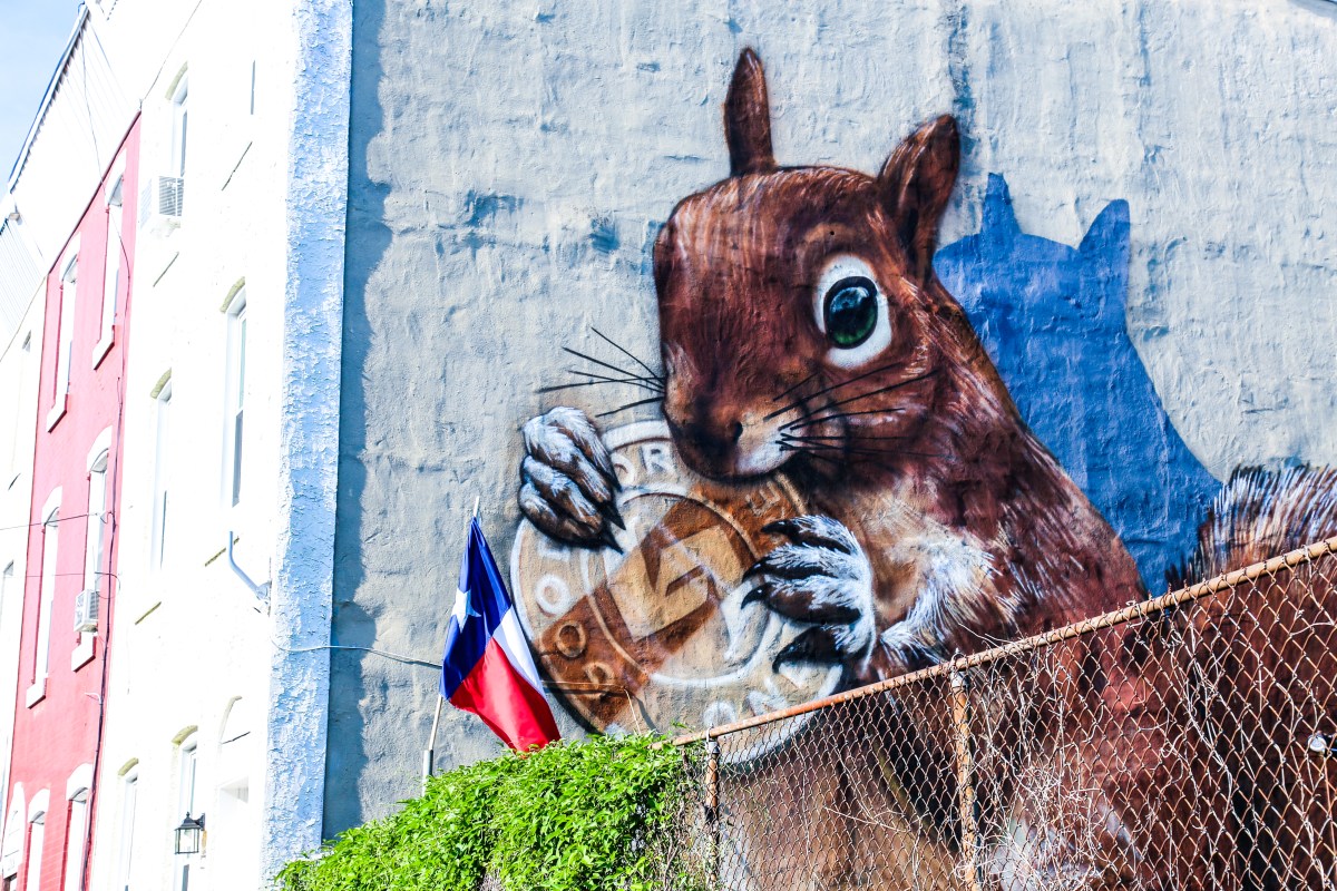 New Mural of A Squirrel Eating a SEPTA Token is Literally the Best ...