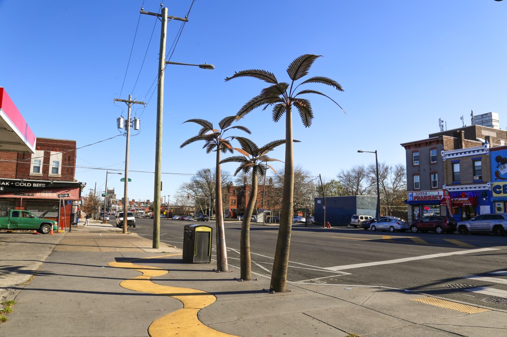 Did You Know There Are Palm Trees in Philly? – Streets Dept