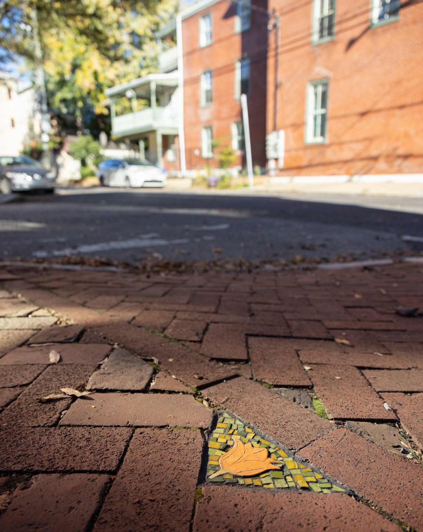 An Interview With The Mosaic Artist Who’s Quietly Filling Sidewalk ...