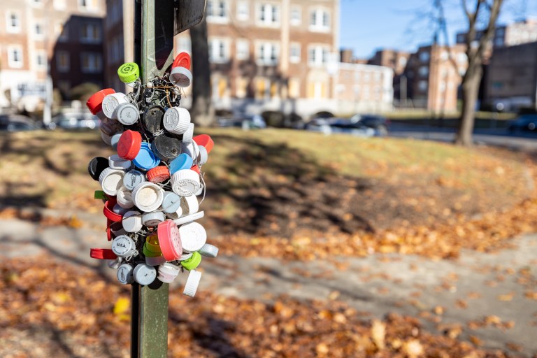 Philly Street Art Interviews: Sculptor And Fiber Artist Amy Orr ...